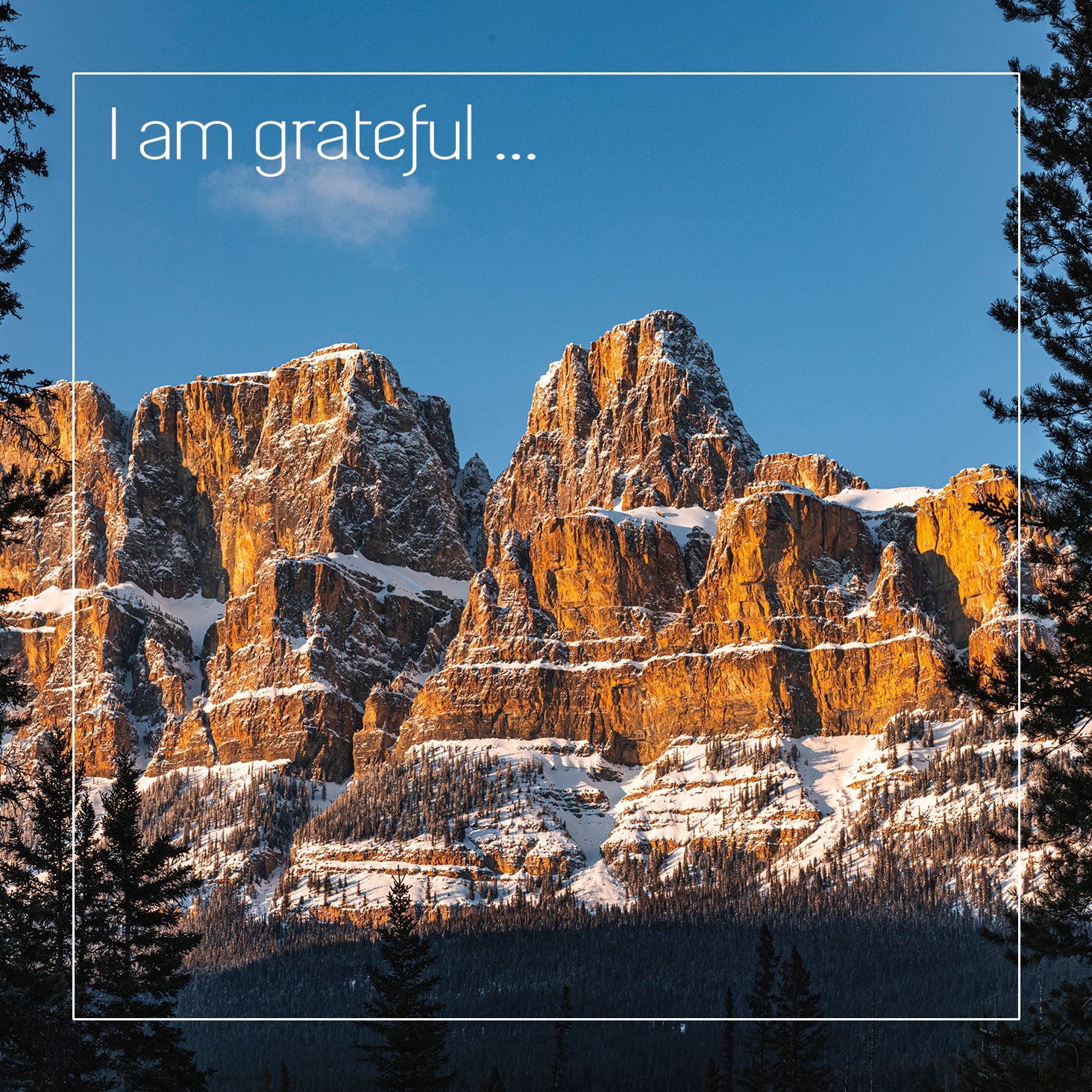 Gratitude Card Packs – North 51 Degrees - Photography